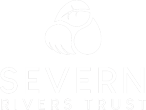 Severn Woodlands | A Severn Rivers Trust Project