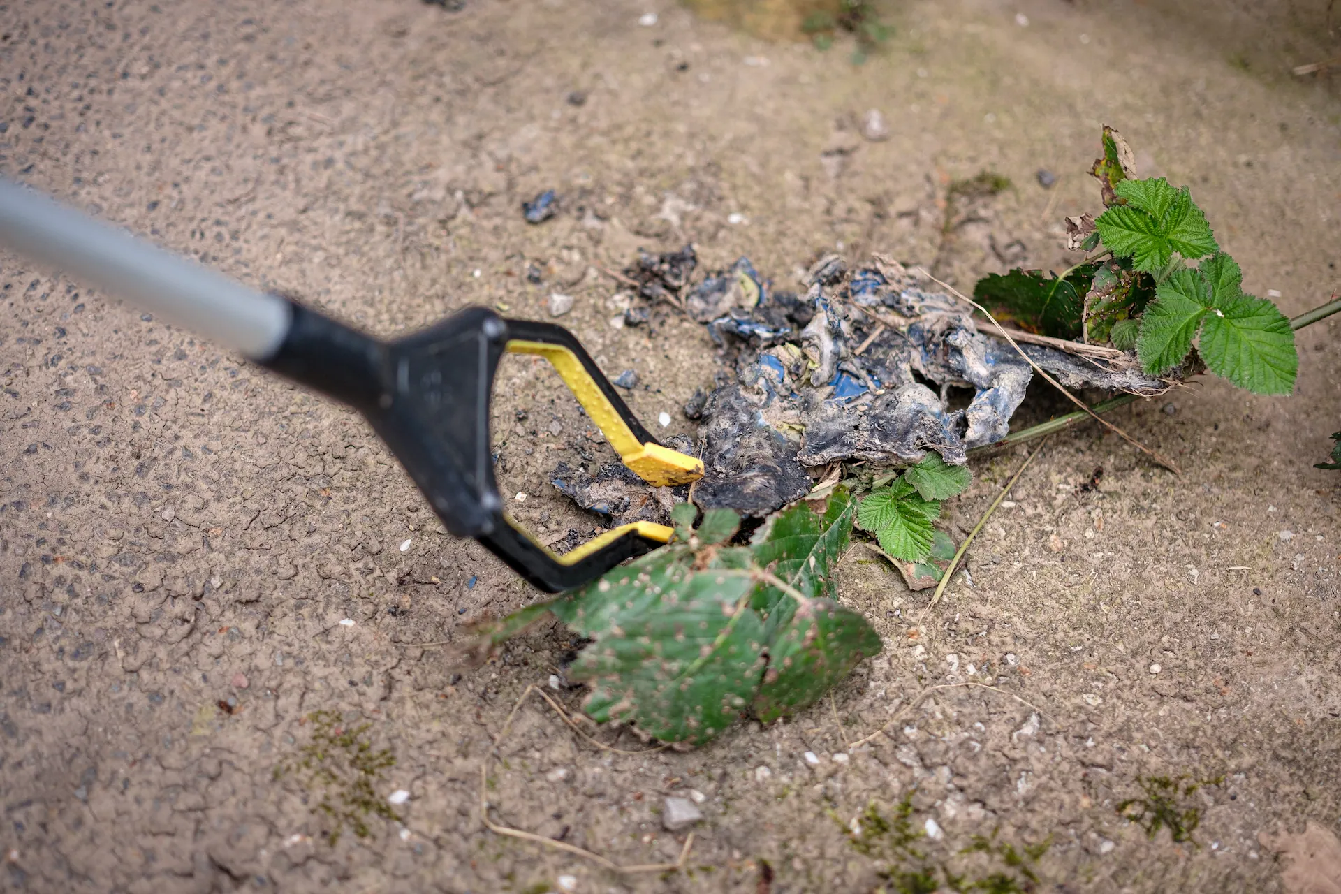 Challenges | Severn Rivers Trust