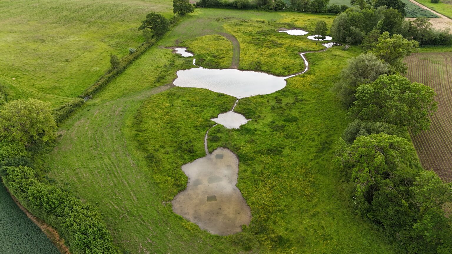 Upper Severn | Severn Rivers Trust