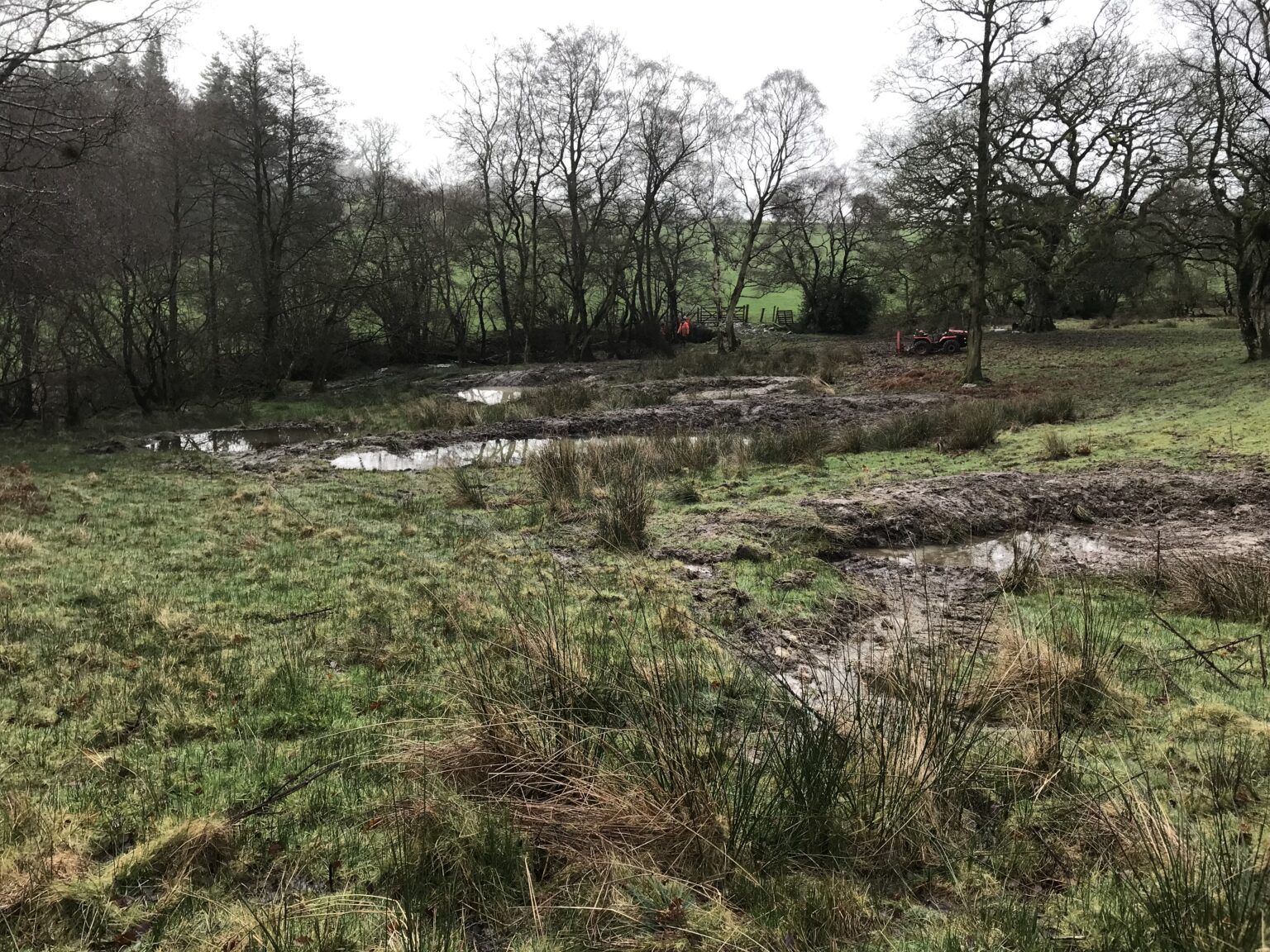 Upper Severn | Severn Rivers Trust