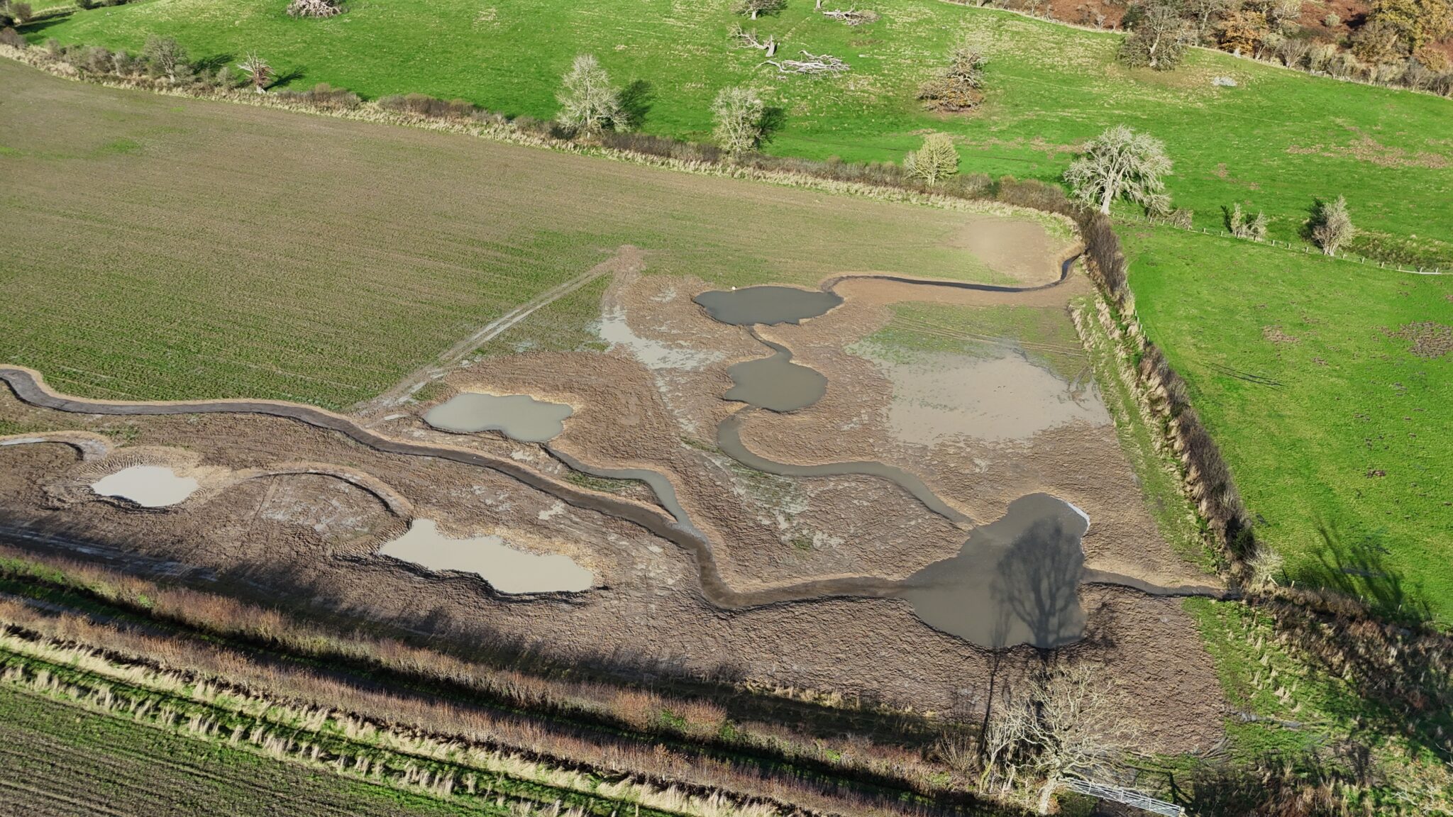 Teme | Severn Rivers Trust