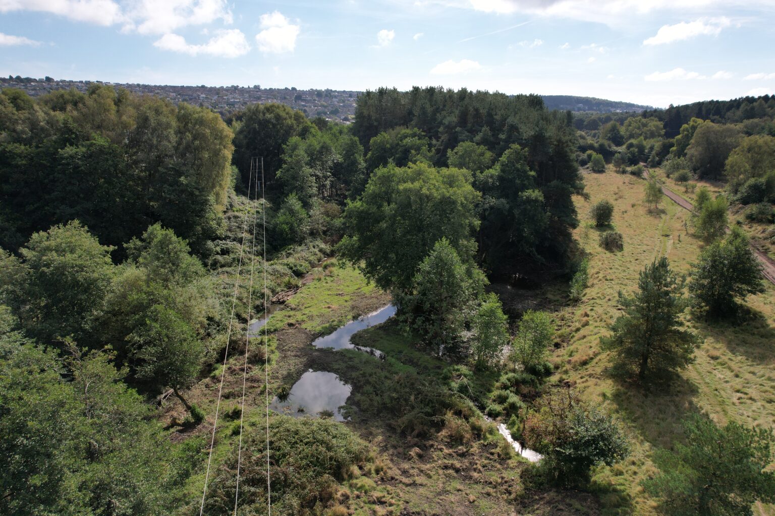 Severn Vale | Severn Rivers Trust