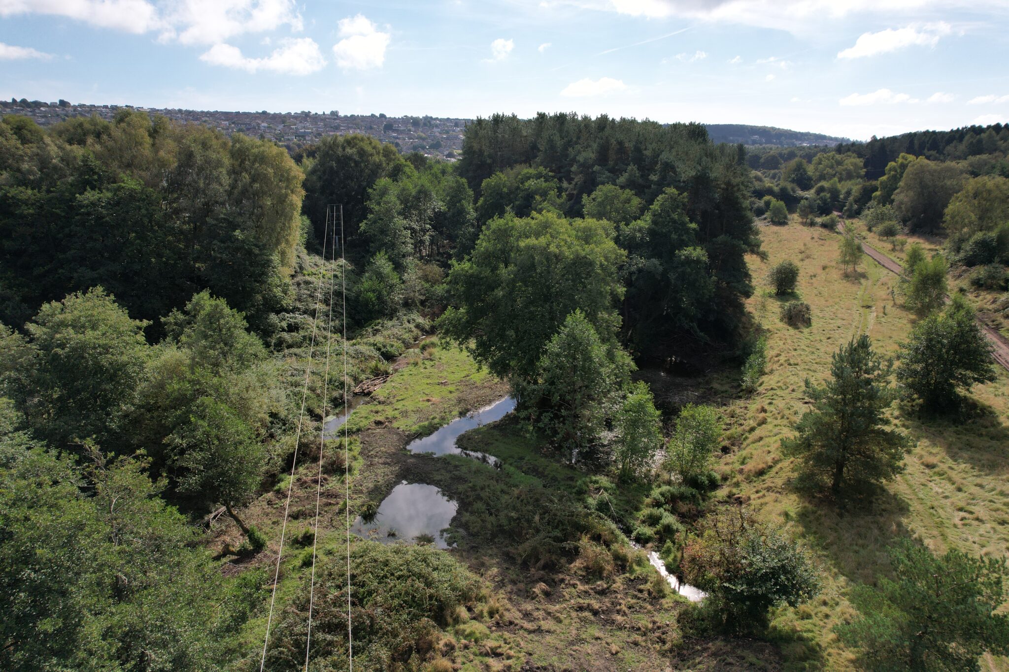 Severn Vale | Severn Rivers Trust