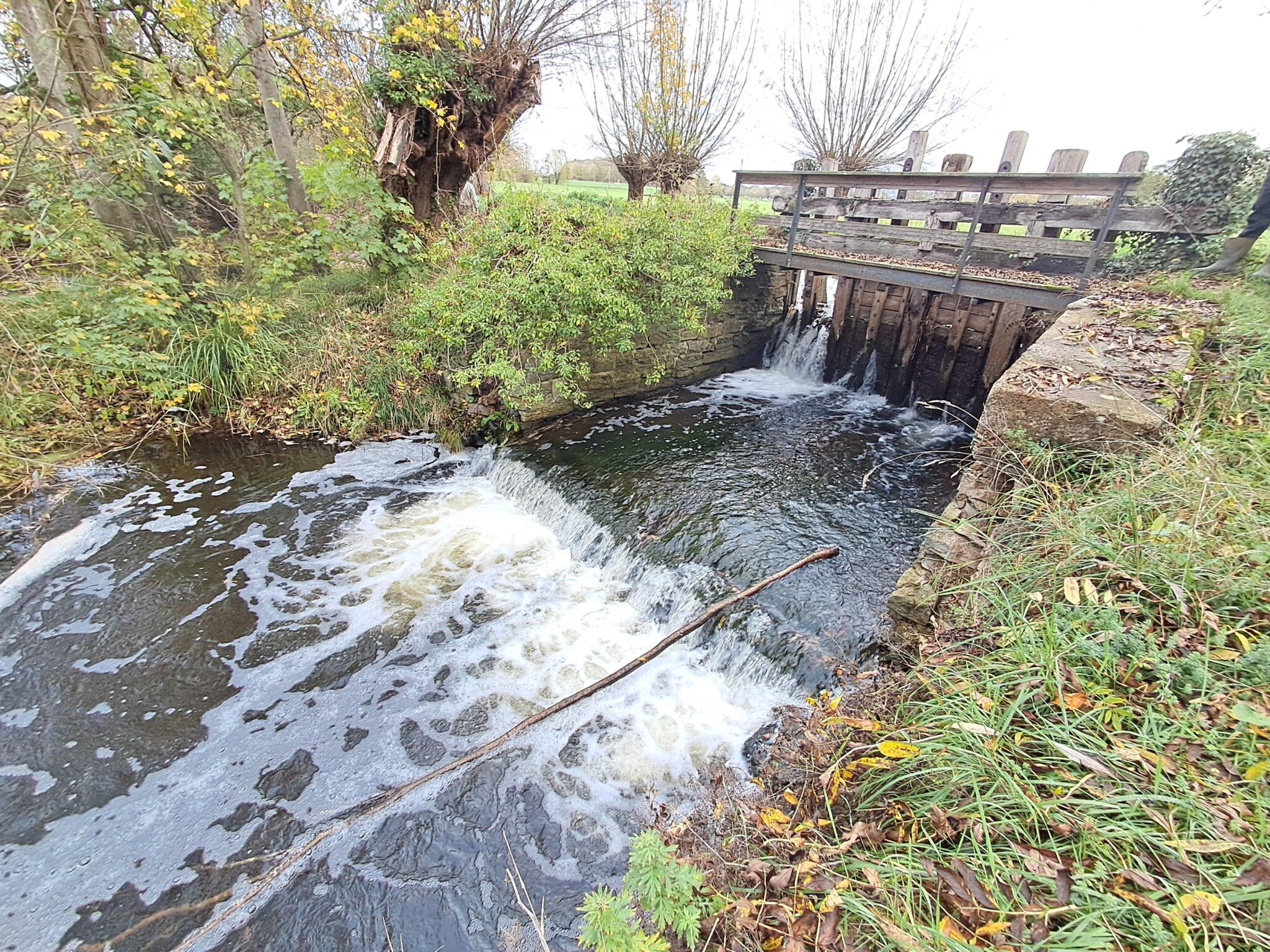 Invitation to Tender: River Alne Fish Passage Feasibility Study ...